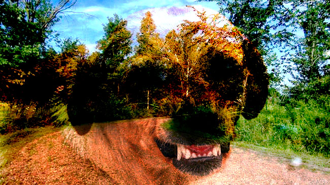 71: The Story of Red Dog Road - Outta Toon Podcast